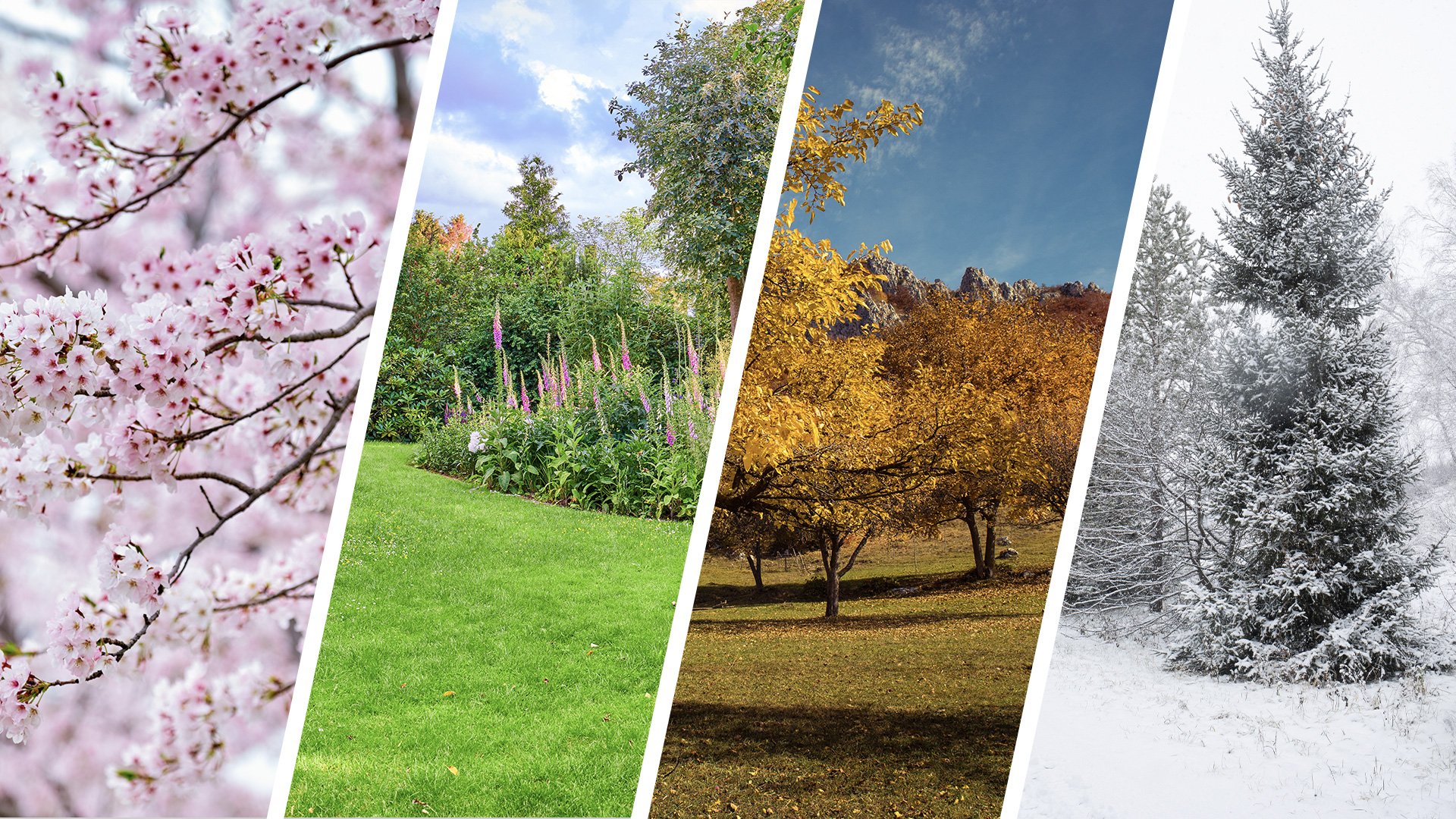 Seasonal Moving Tips: Moving in Summer, Fall, Winter, or Spring
